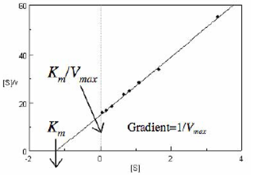 Measurement of Enzyme Kinetics by UV-visible Spectroscopy | JASCO