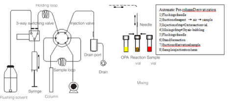 Amino Acid Analysis by Automated Pre-column OPA Derivatization | JASCO
