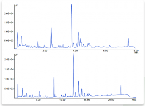Analysis of Diesel Particulate Matter using UHPLC - JASCO