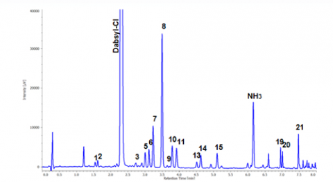 High Speed Analysis of Dabsyl Amino Acids in Stout Beer using UHPLC - JASCO