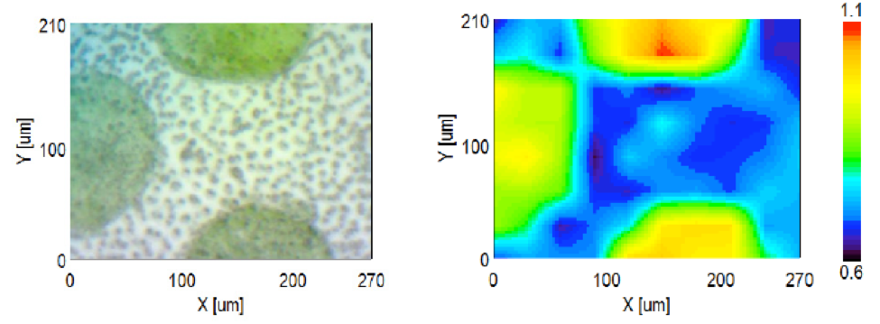 MSV-5000 UV-visible microscope | JASCO