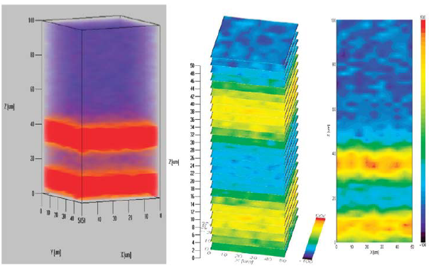 Confocal Raman Imaging - NRS Series Spectrometers | JASCO