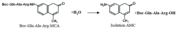 Trypsin Activity Using Fluorescence Peptide Substrate | JASCO