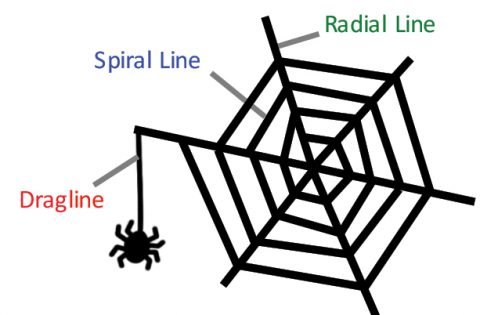 Microscopic analysis of the orientation and secondary structure of ...