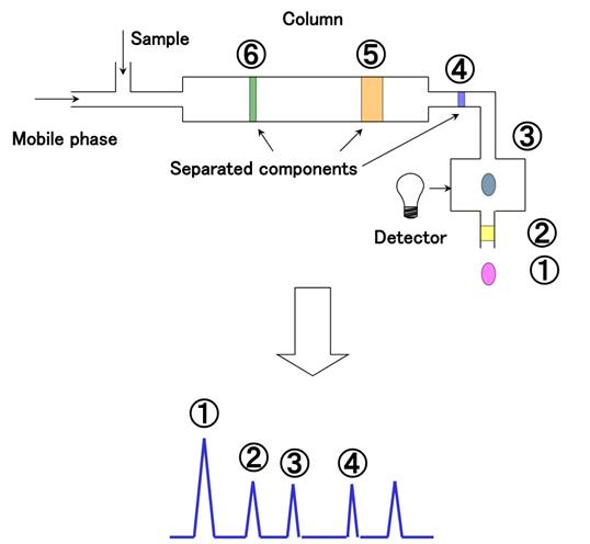 Principles of High-Performance Liquid Chromatography (HPLC) - JASCO