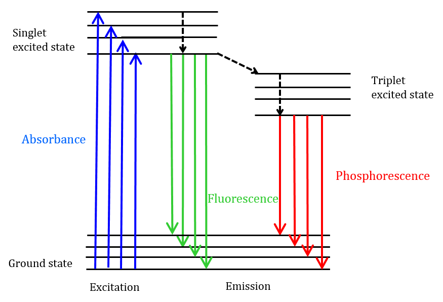 Fluorescence Spectroscopy Theory JASCO Fluorescence Spectroscopy Theory JASCO
