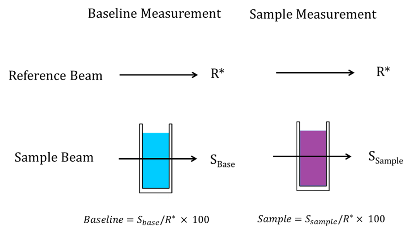 Theory of UV-Visible Spectroscopy | JASCO