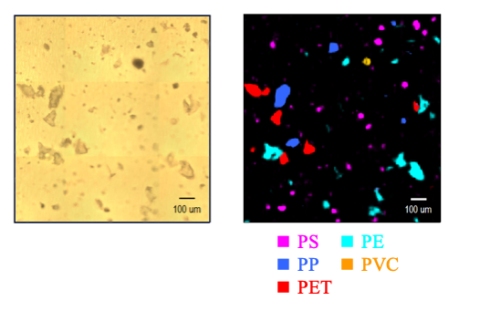 Imaging measurement and particle characterization of microplastics ...