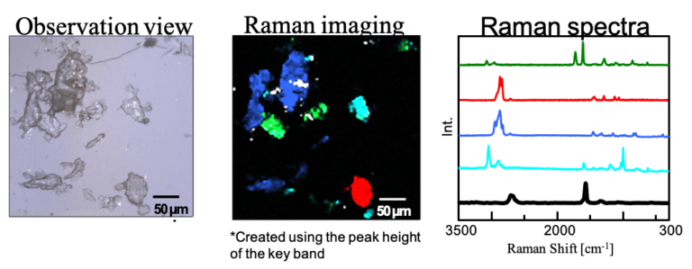 Combined analysis of plastic particles by Infrared and Raman microscopy ...