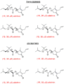 Chromatographic Analysis of Allethrin Isomers: A Synthetic Pyrethroid ...