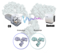 Protein Tertiary Structure Analysis | JASCO