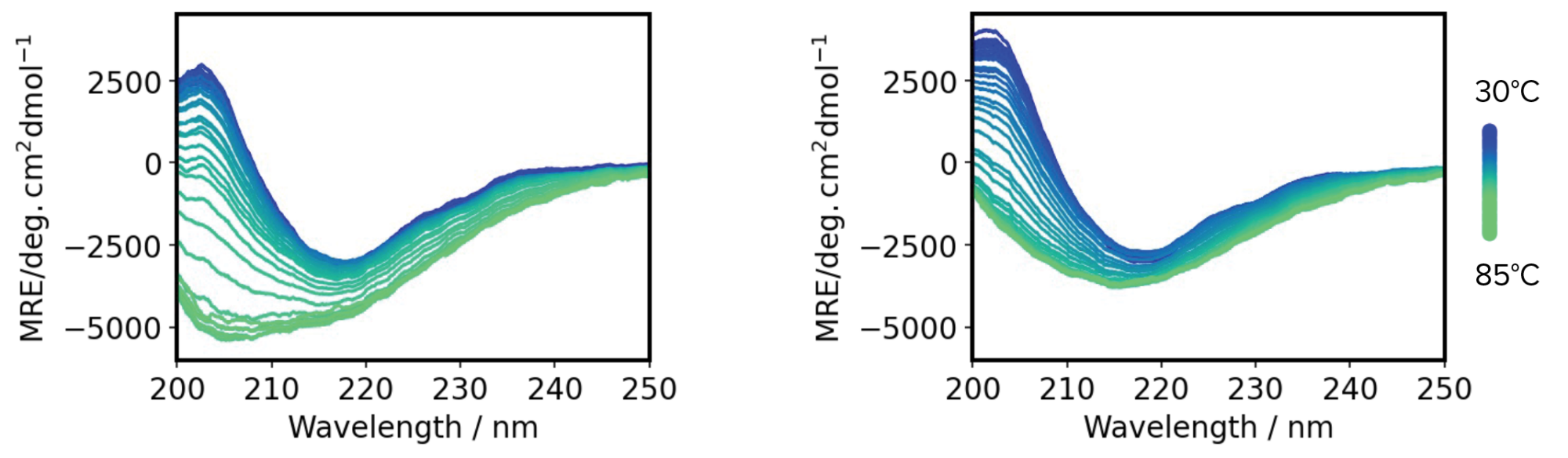 Spectra Manager BeStSel - JASCO